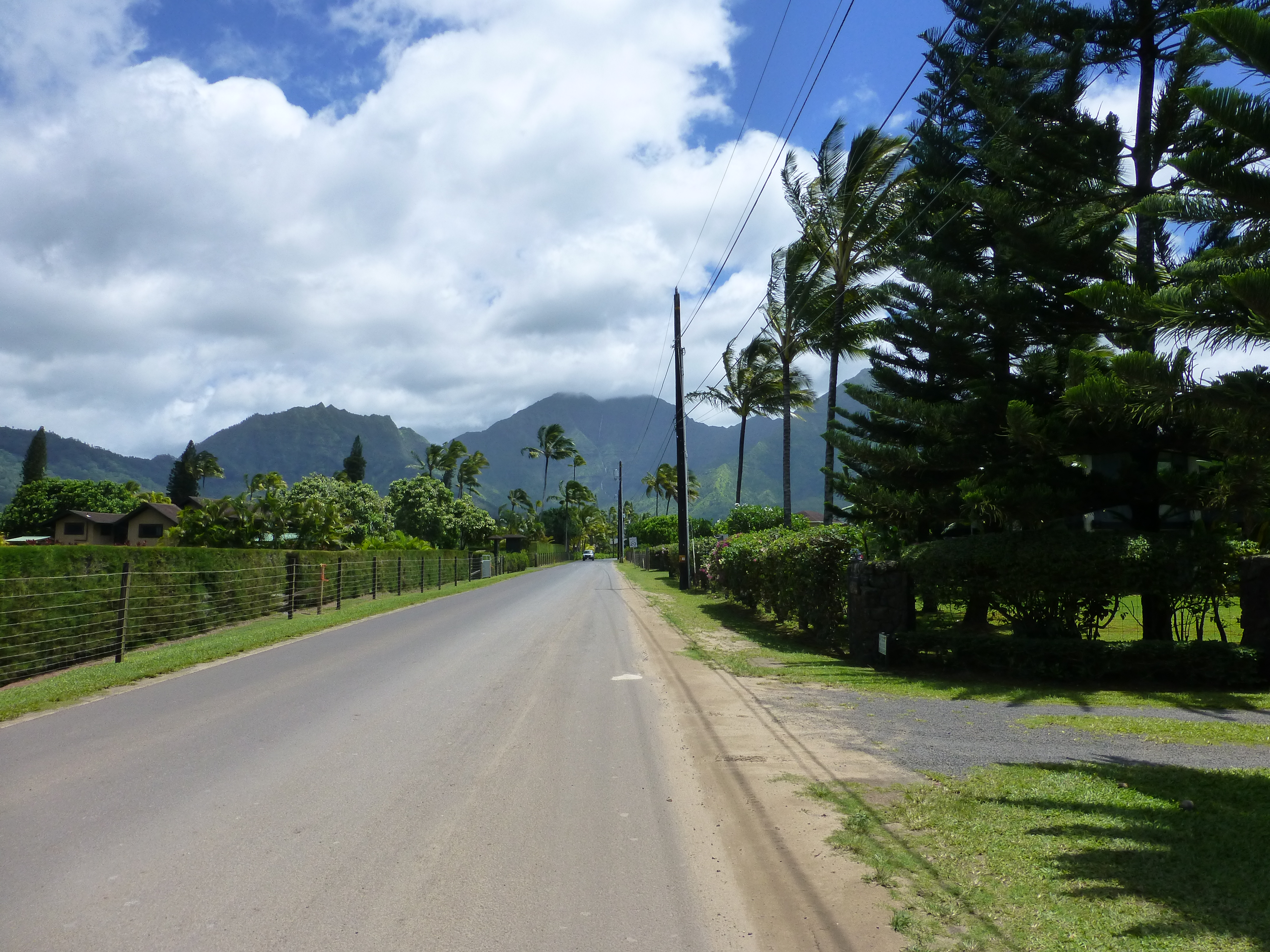 Kauai Road… | Piece O Cake Blog