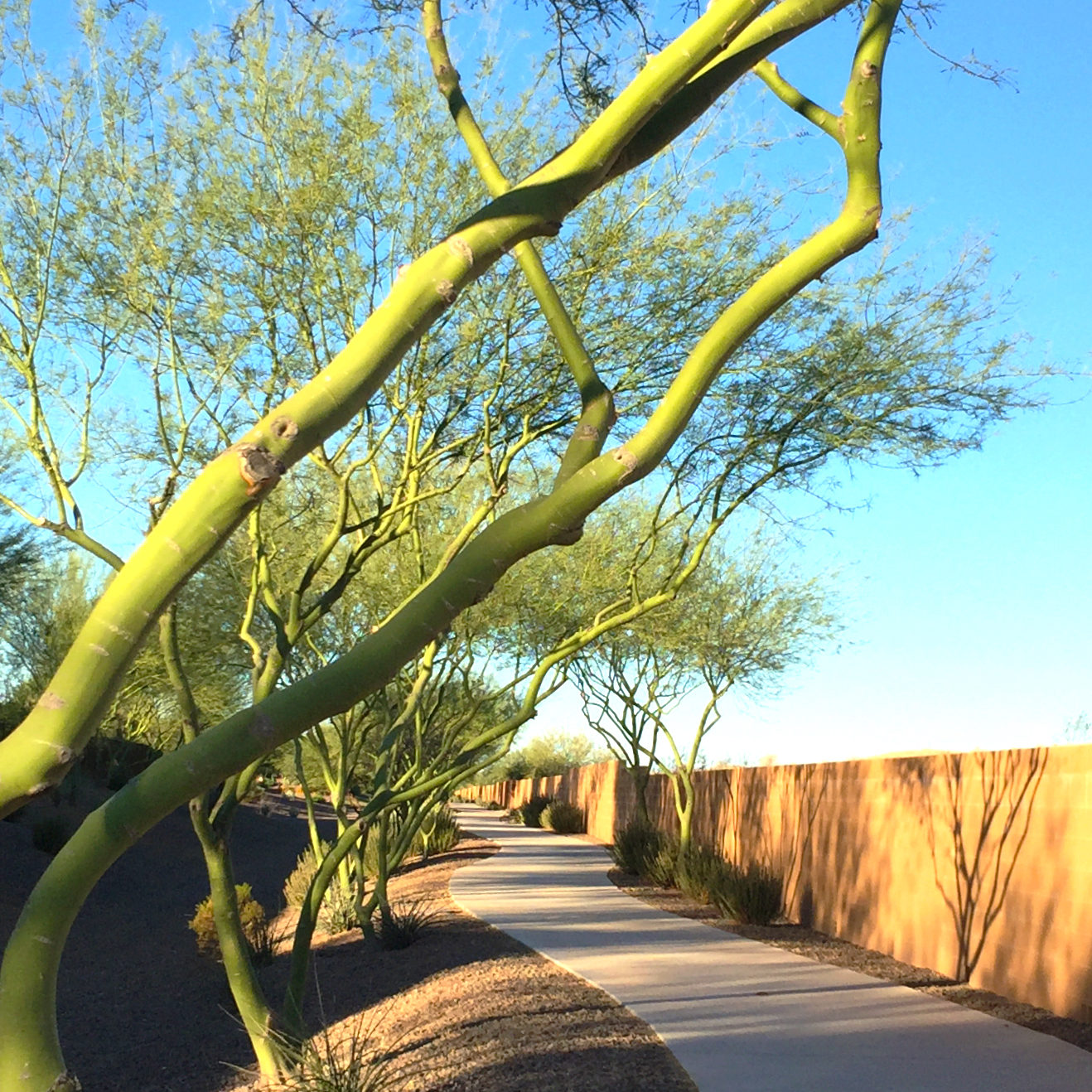 Desert views… | Piece O Cake Blog